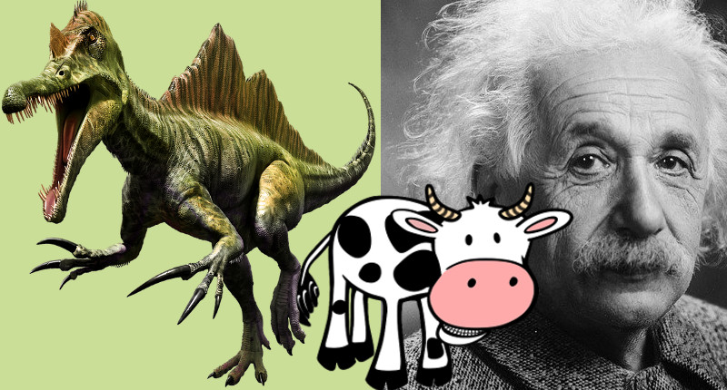 A Dinosaur, a Cow, and Einstein - Chris Lindsay Counselling